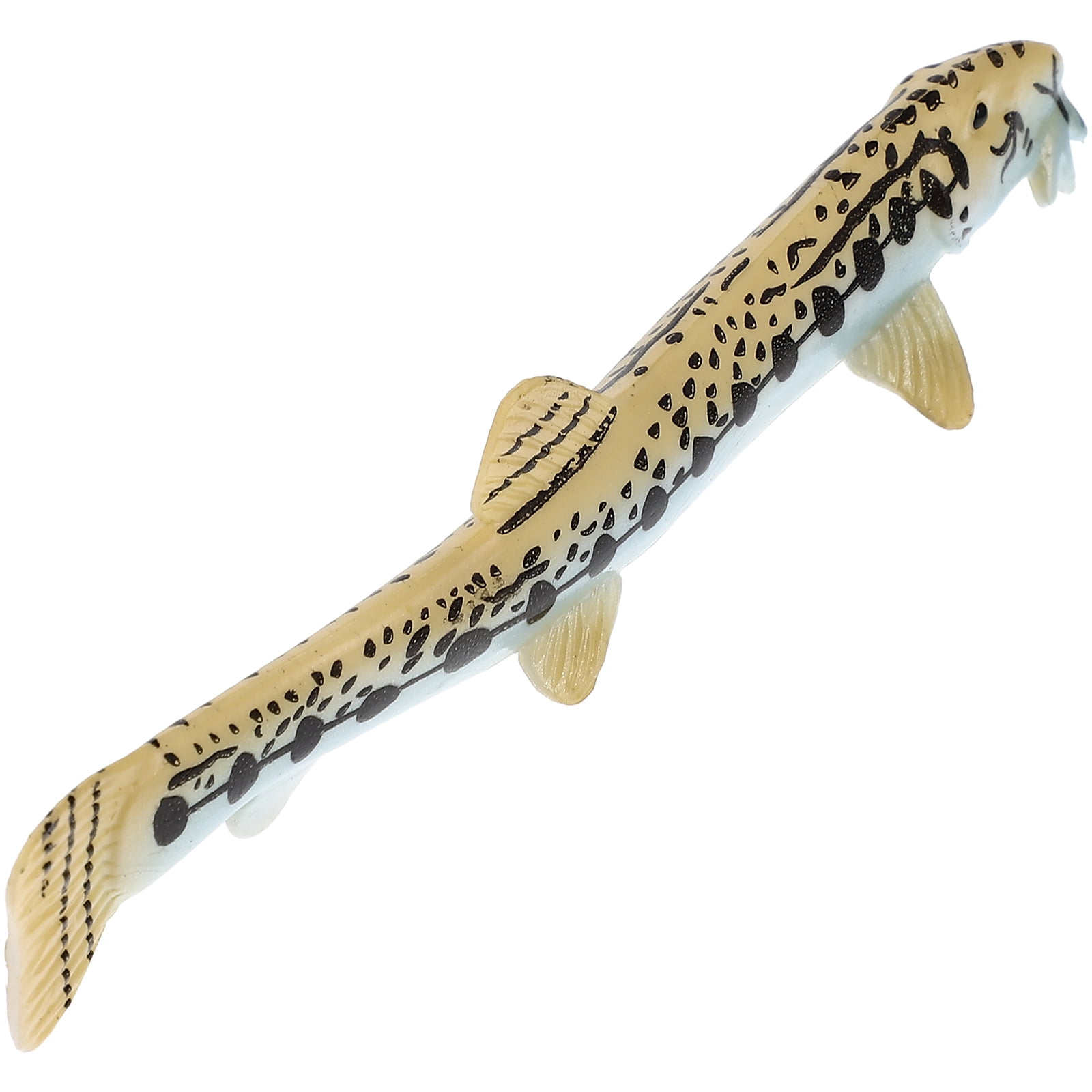 Sea Animal Figure Model Cobitis Taenia Linnaeus Model Marine Animal ...