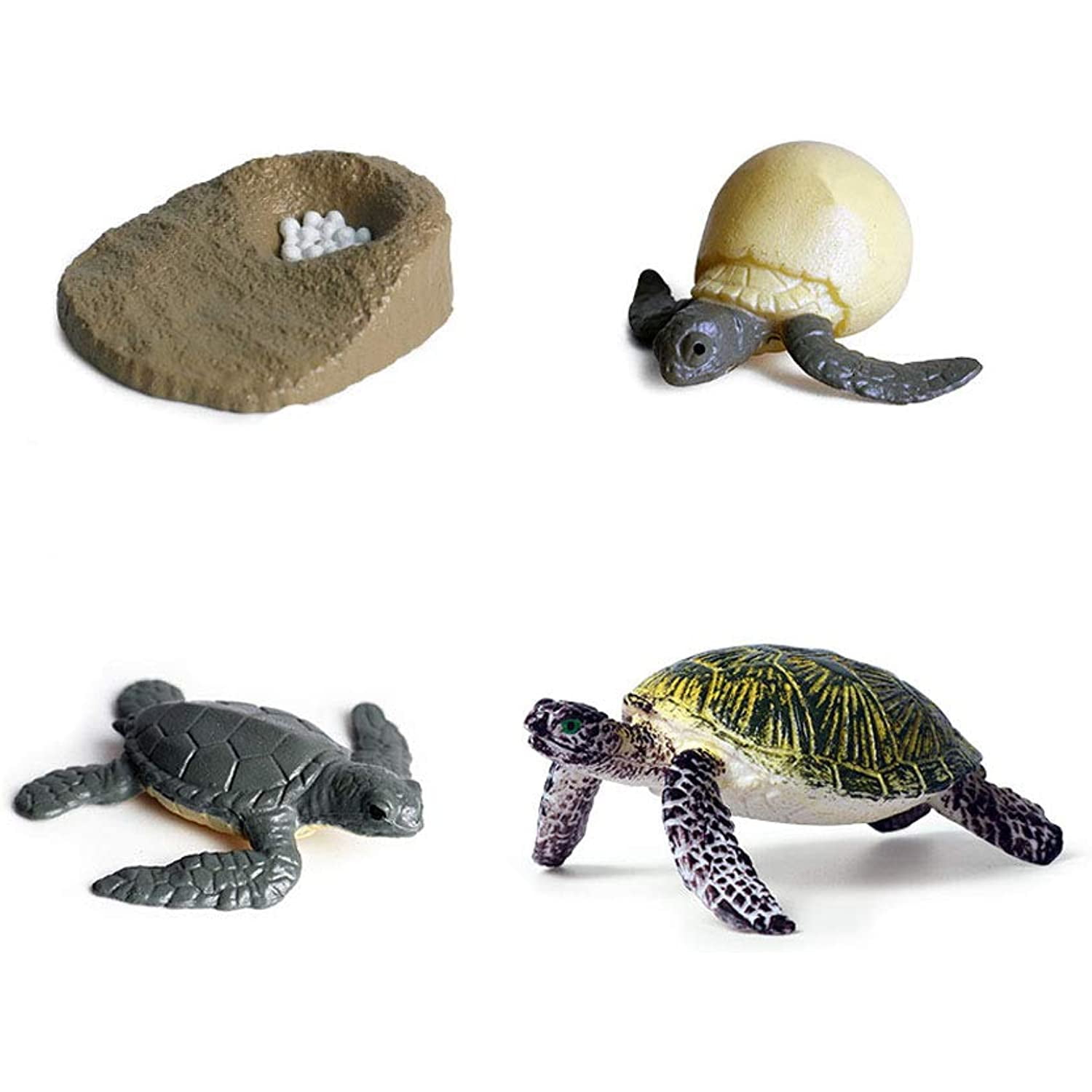 Sea Animal Green Sea Turtle Growth Cycle Figurine Green Sea Turtle Life ...
