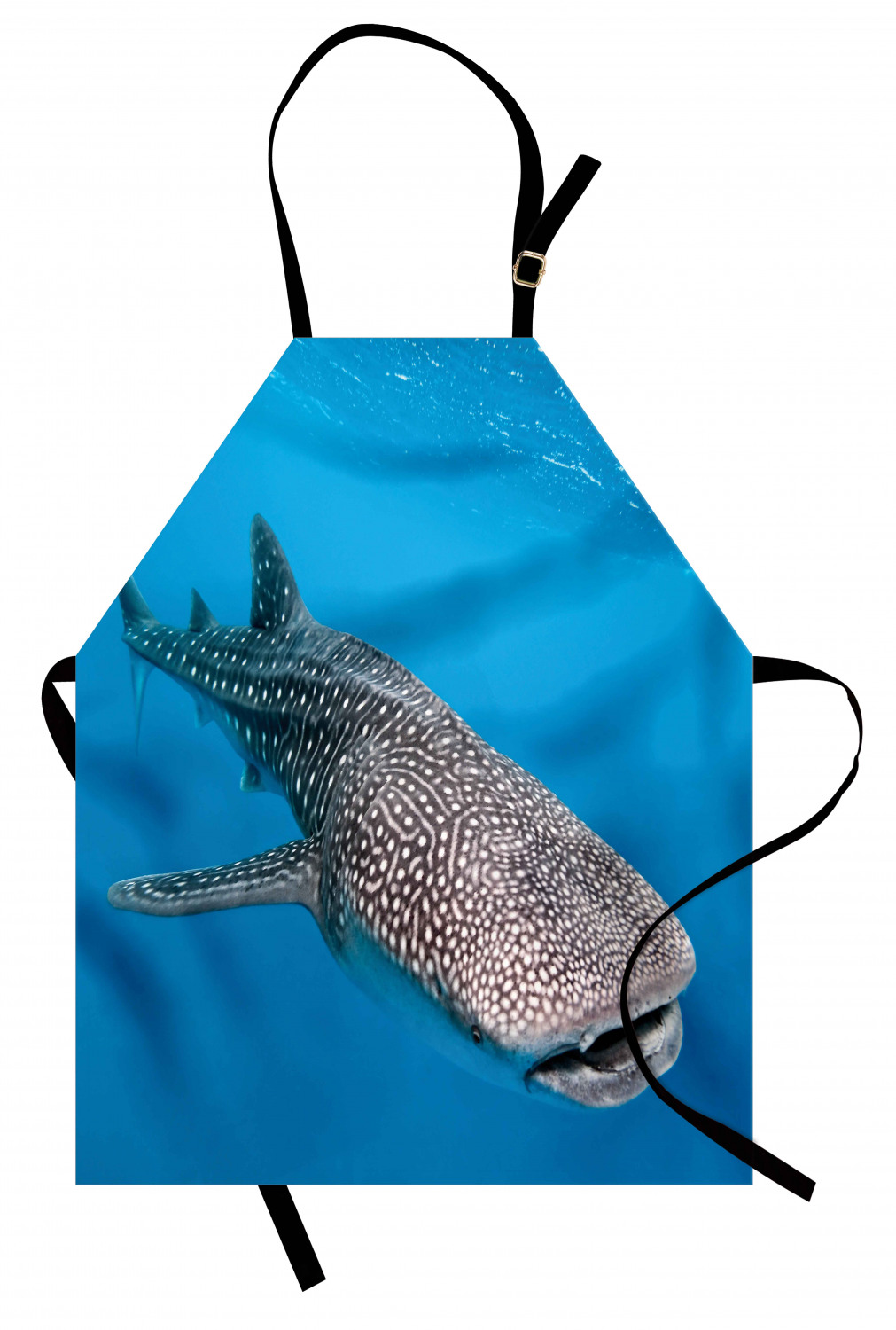 Sea Animals Apron Whale Shark Swimming Predators Hunter Clear Water ...