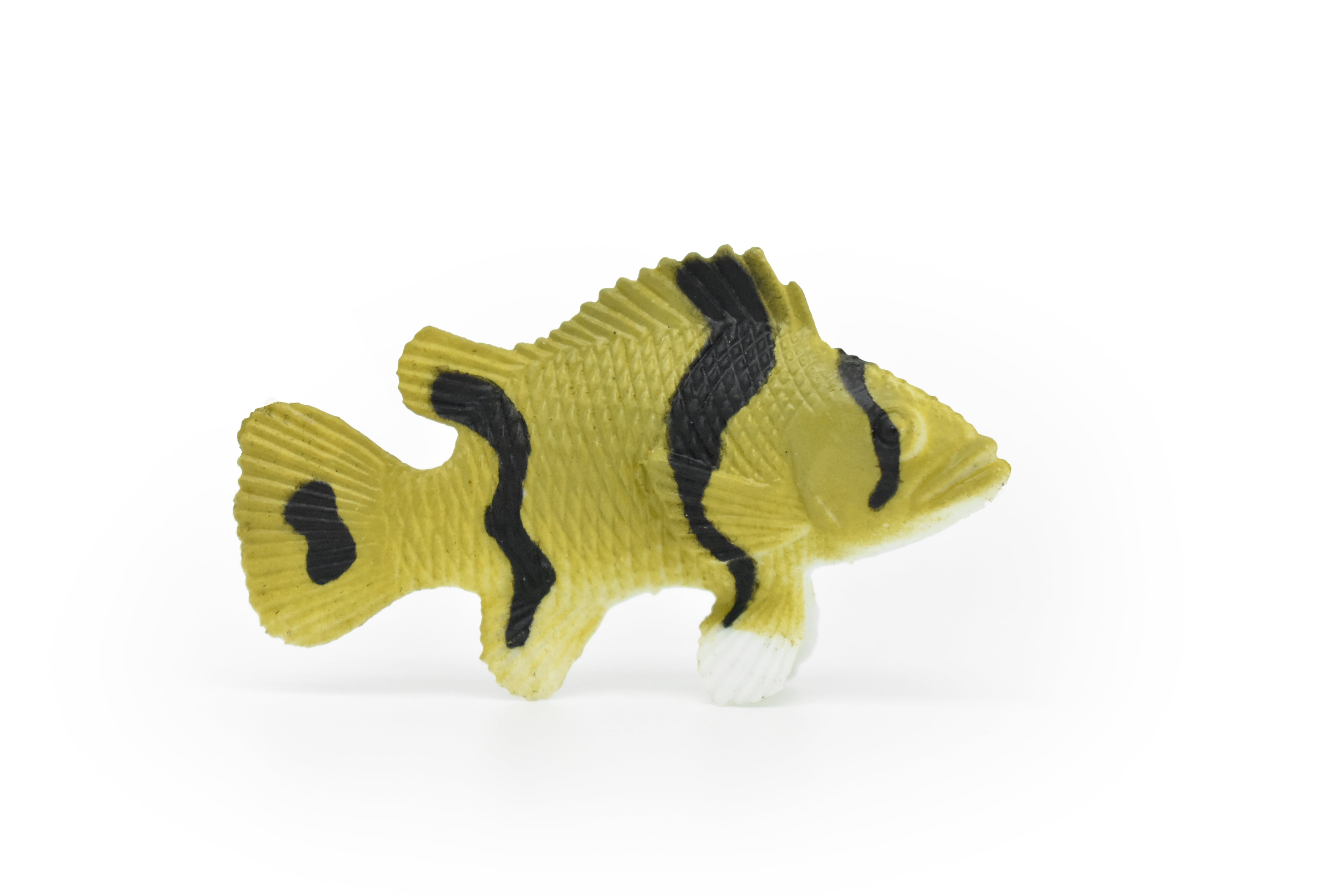 Sea Bass, Grouper, Fish, Realistic Plastic Replica 2" CWG268 B46 ...