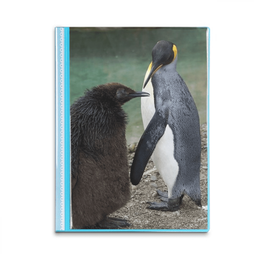Sea Cold Antarctic Penguin Science Nature Picture Book Sheet Protectors ...
