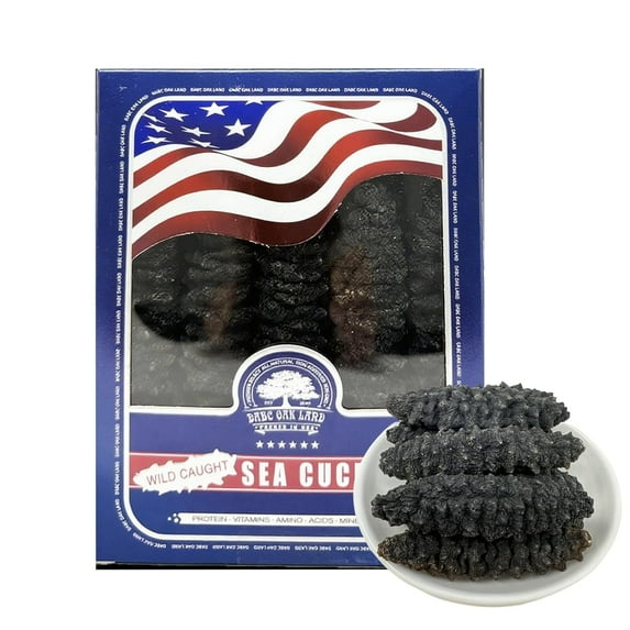 Sea Cucumber Wild Caught,Sun Dried Atlantic Black Pin Supplement All ...