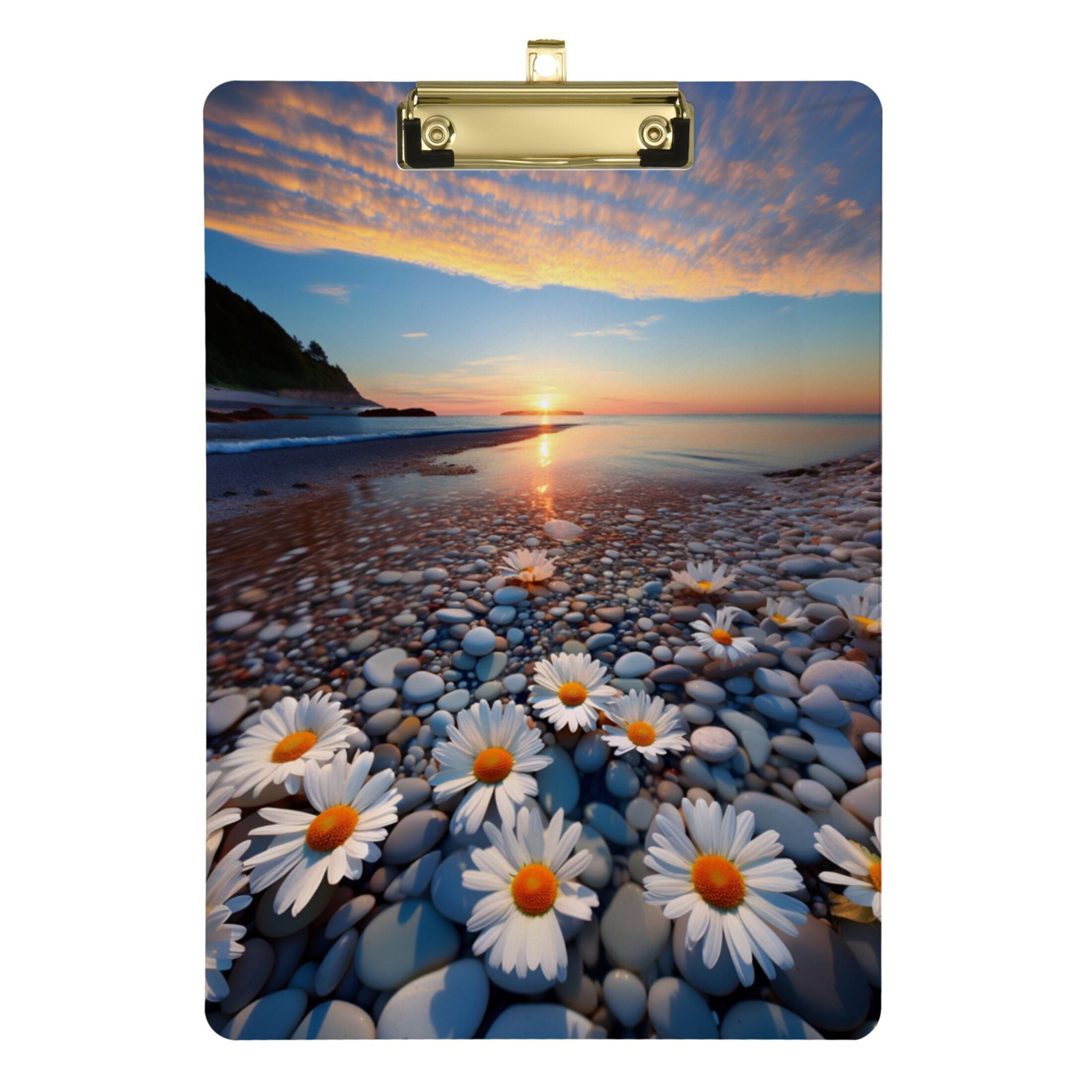 Sea Daisies Flowers Acrylic Clipboards 12 x 9 Inch A4 Size with Low ...