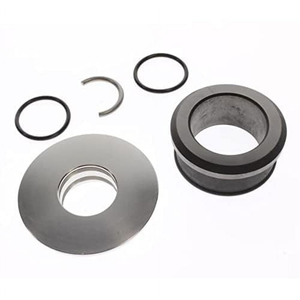 Sea-Doo New OEM Carbon Ring Kit, 295501200 - Walmart.com
