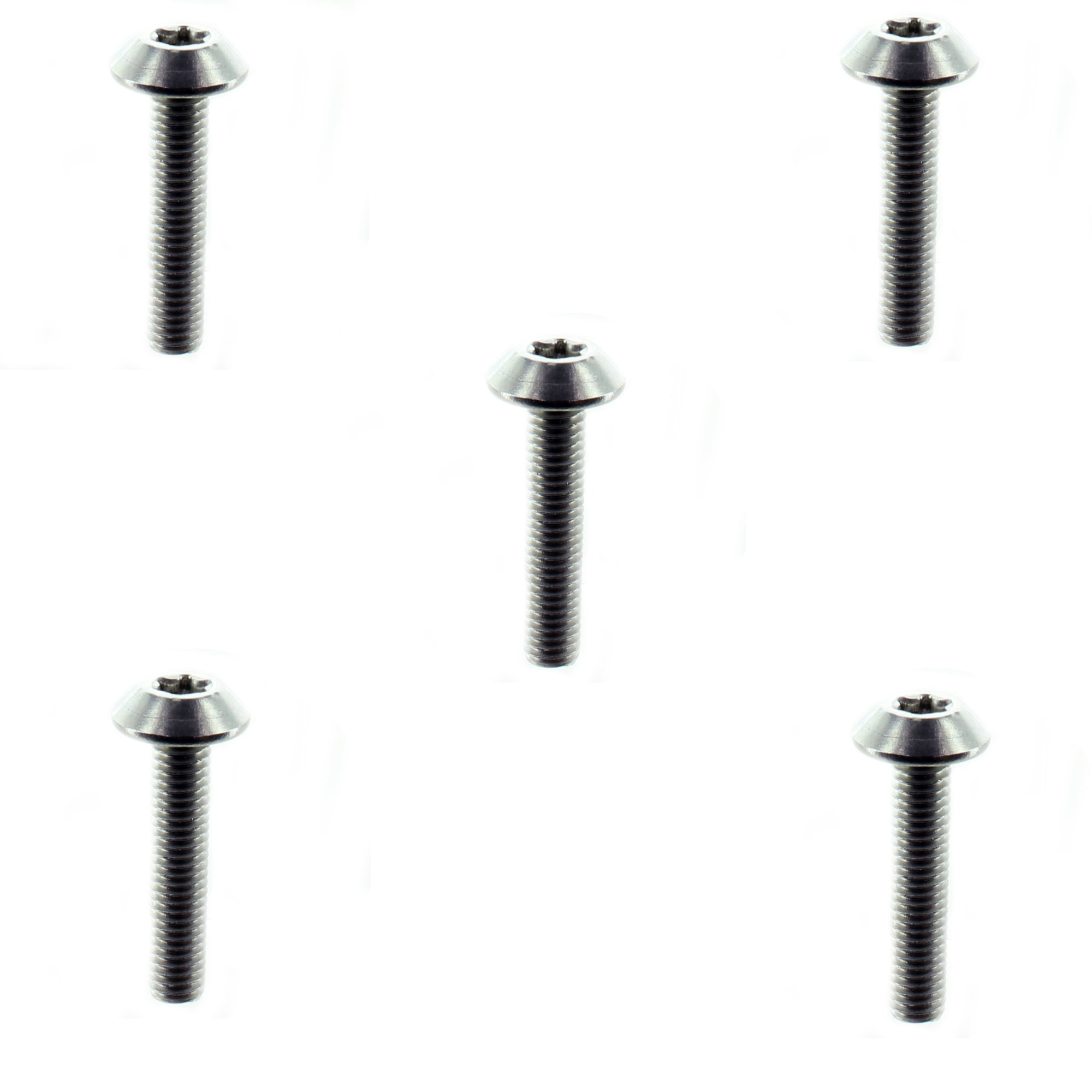 Sea-Doo New OEM Truss Cone Torx Screw M6 Set of 5, 250000924 - Walmart.com