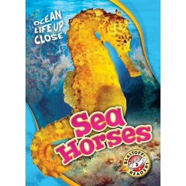 Hide-And-Seek Books (Barefoot Books) Secret Seahorse, (Paperback ...