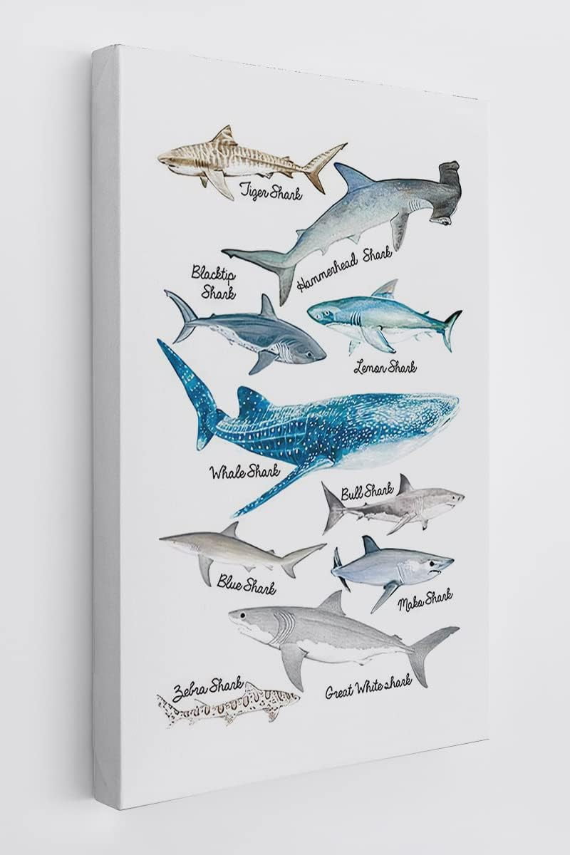 Sea Life Shark Educational Ocean Animal Chart Wall Art Canvas Farmhouse ...
