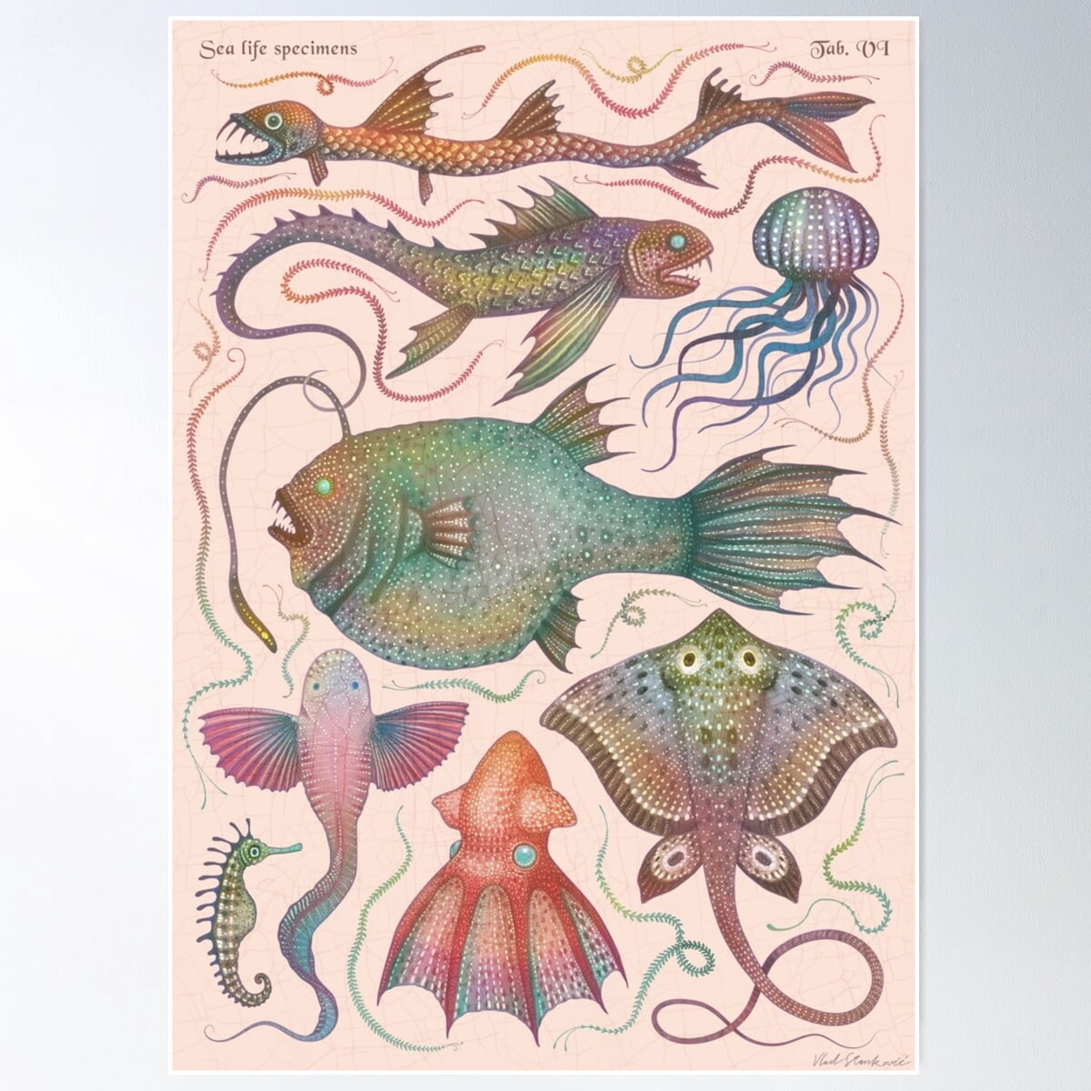 Sea Life Specimens Poster Wall Art, Modern Wall Decor For Living Room ...