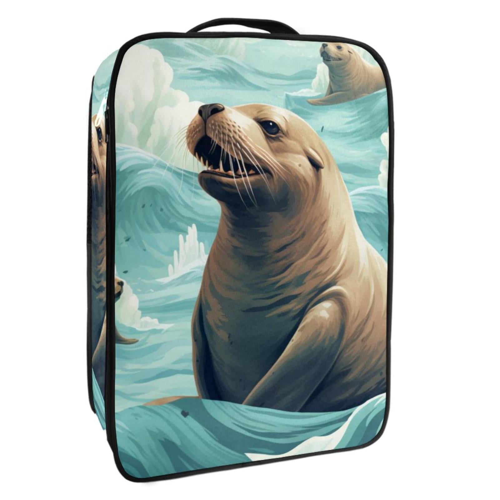 Sea Lion Clear Polyester Shoe Containers - - 23x31cm/9x12in Shoe ...