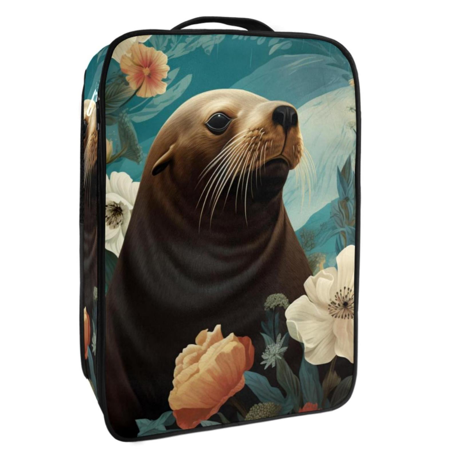 Sea Lion Clear Polyester Shoe Containers - - 23x31cm/9x12in Shoe ...