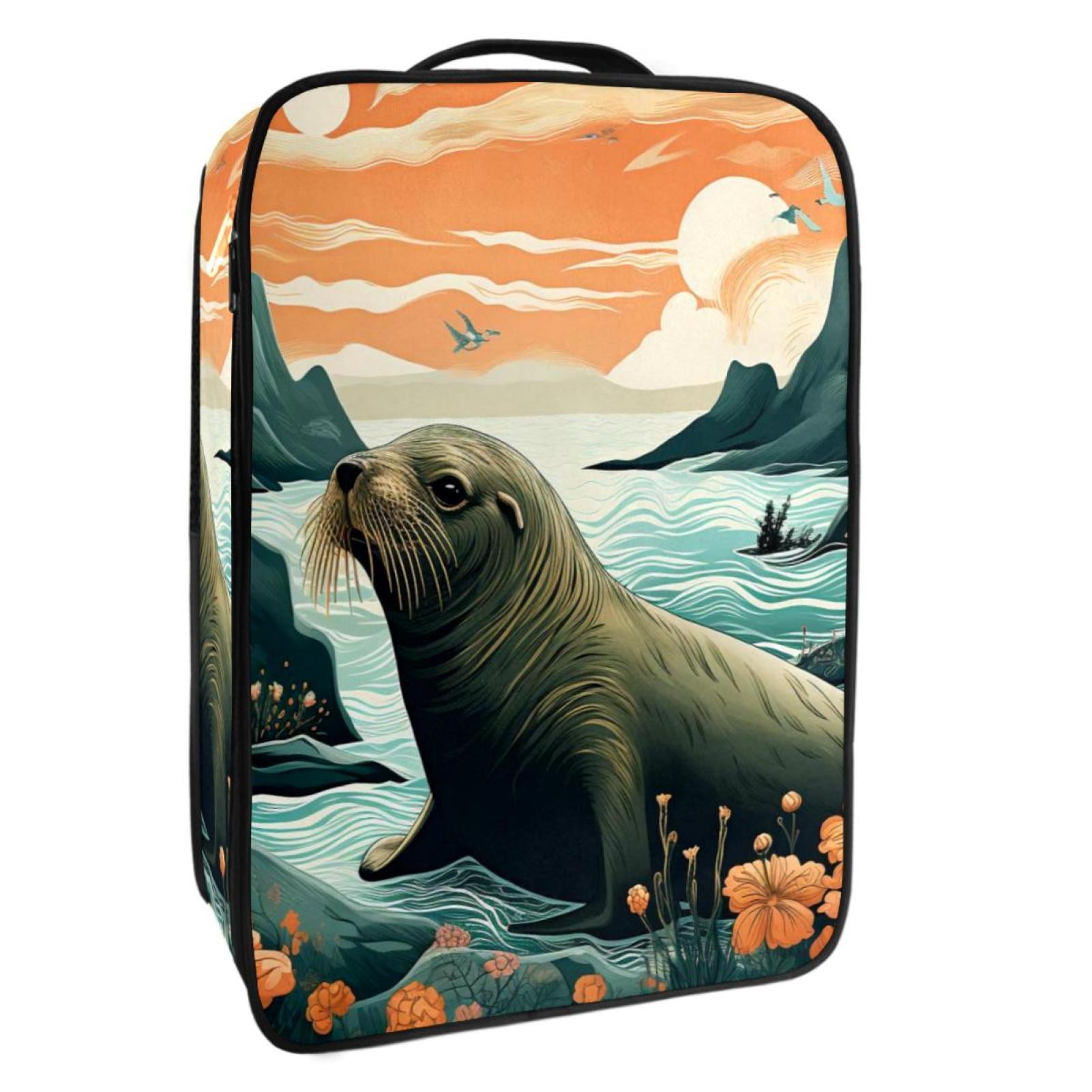 Sea Lion Clear Polyester Shoe Containers - - 23x31cm/9x12in Shoe ...