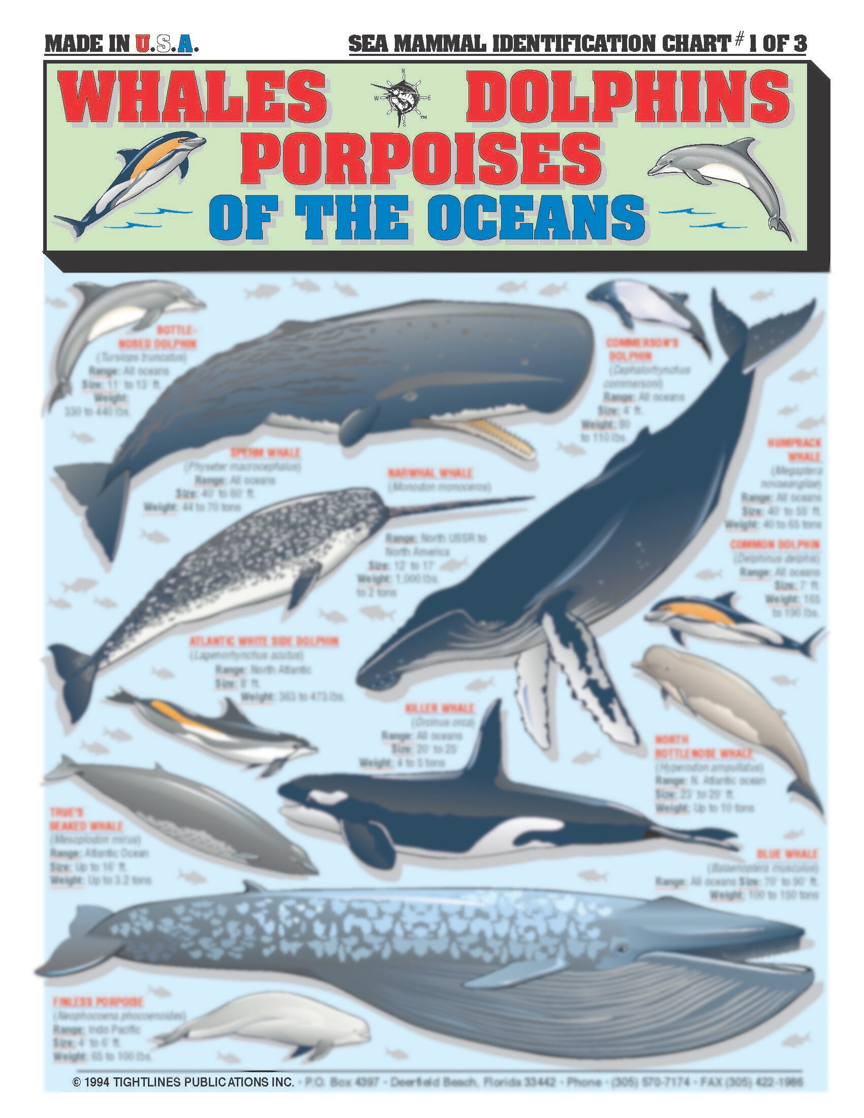 Sea Mammal Identification #1 (Whales, Dolphins, and Porpoises) - Waterproof Quick Reference ...