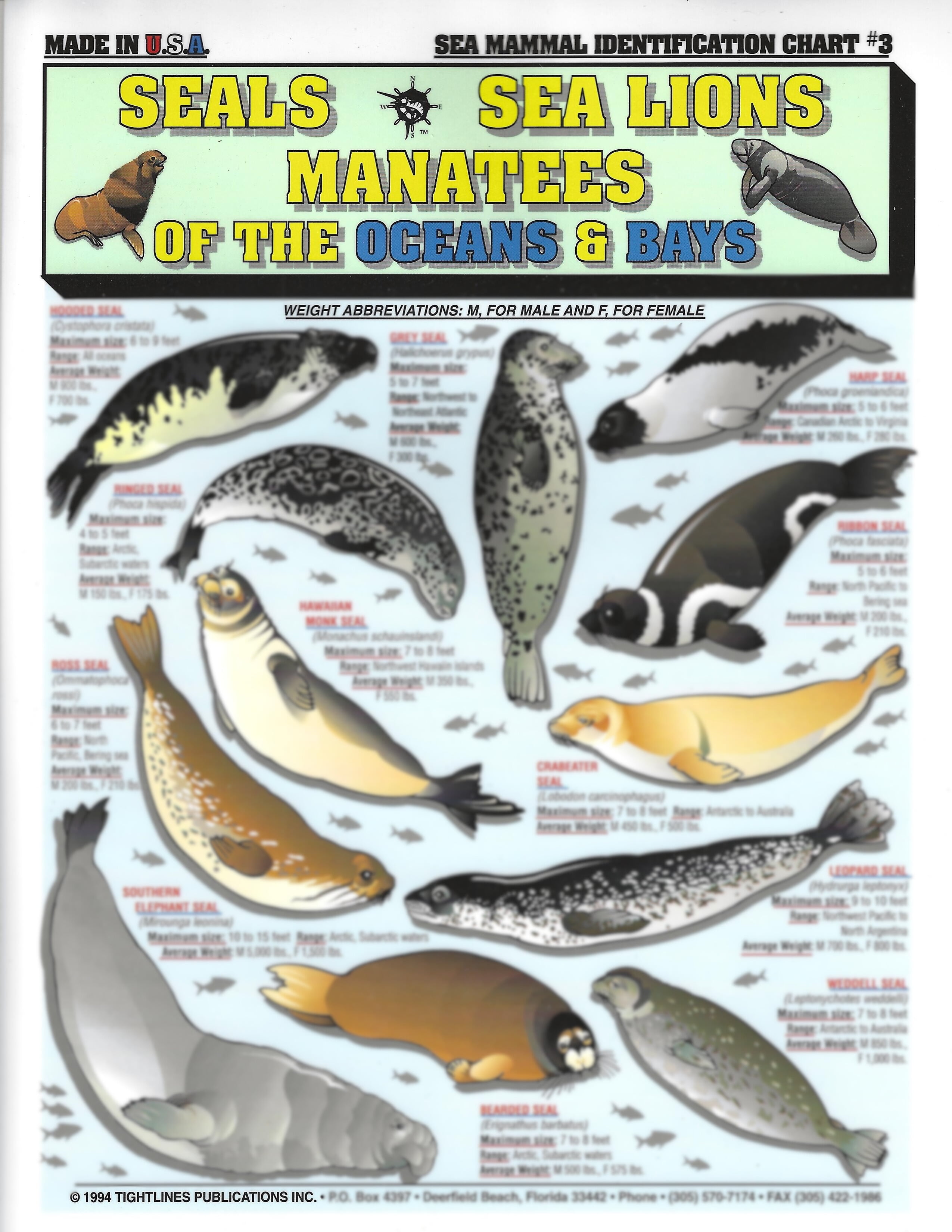 Sea Mammal Identification #3 (Seals, Sea Lions, and Manatees ...