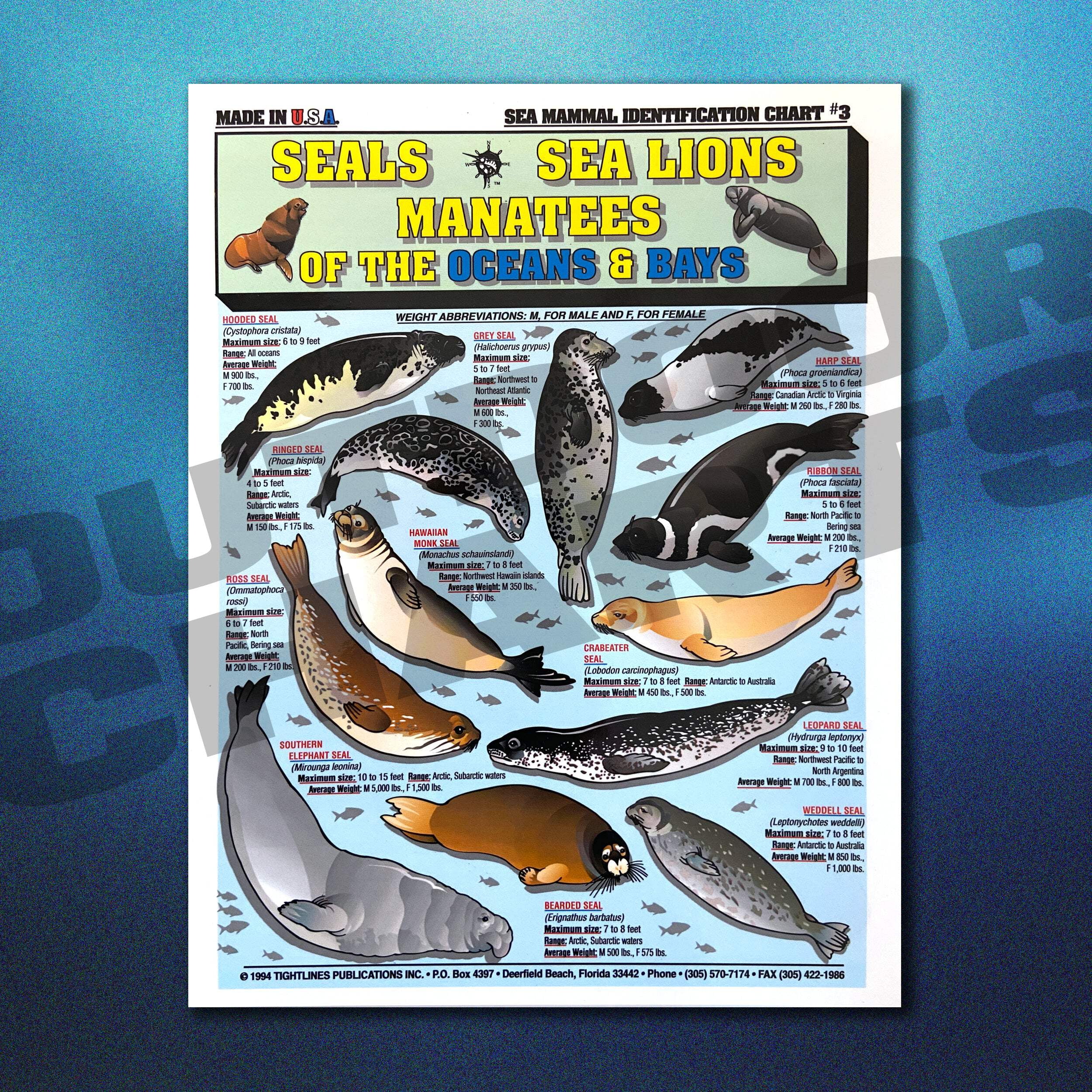 Sea Mammal Identification Chart #3 Seals, Sea Lions, and Manatees of ...