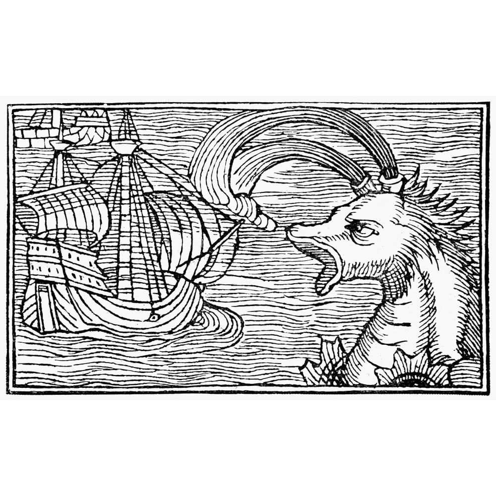 Sea Monster 1555. None Of The Sea Monsters Thought To Inhabit The 'Sea ...
