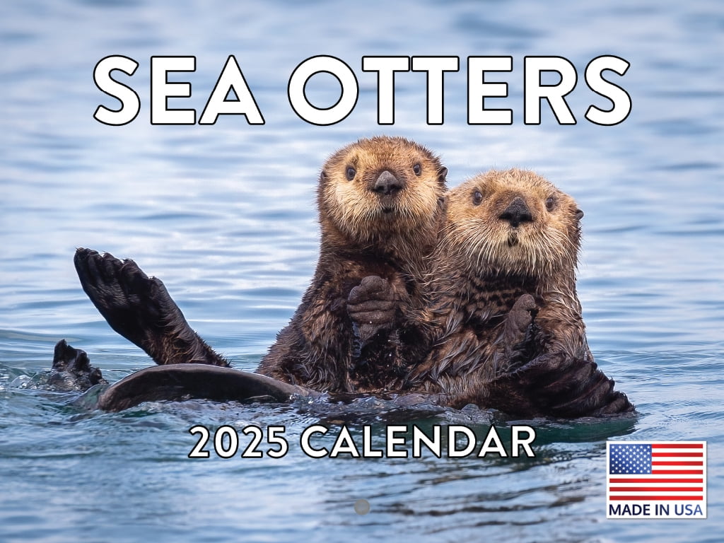 Sea Otter Calendar 2025 Monthly Wall Calender 12 Month | American Made ...