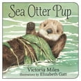 Sea Otter Pup (Board Book) - Walmart.com