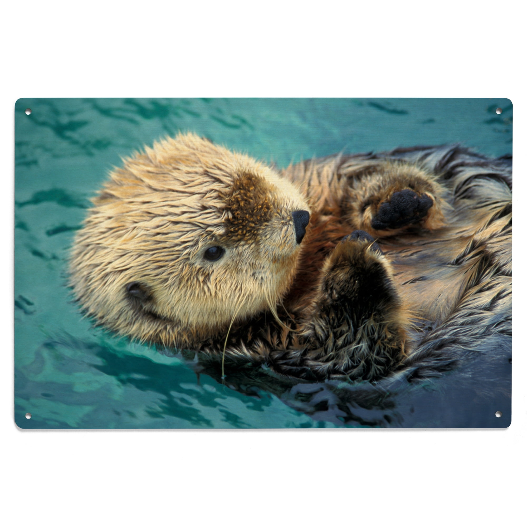 Sea Otter Up Close Birch Wood Wall Sign (6x9 Rustic Home Decor, Ready ...