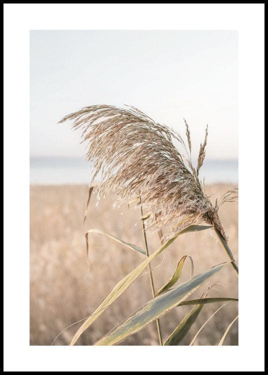 Sea Reeds Poster Wall Art, Modern Wall Decor For Living Room Bedroom ...