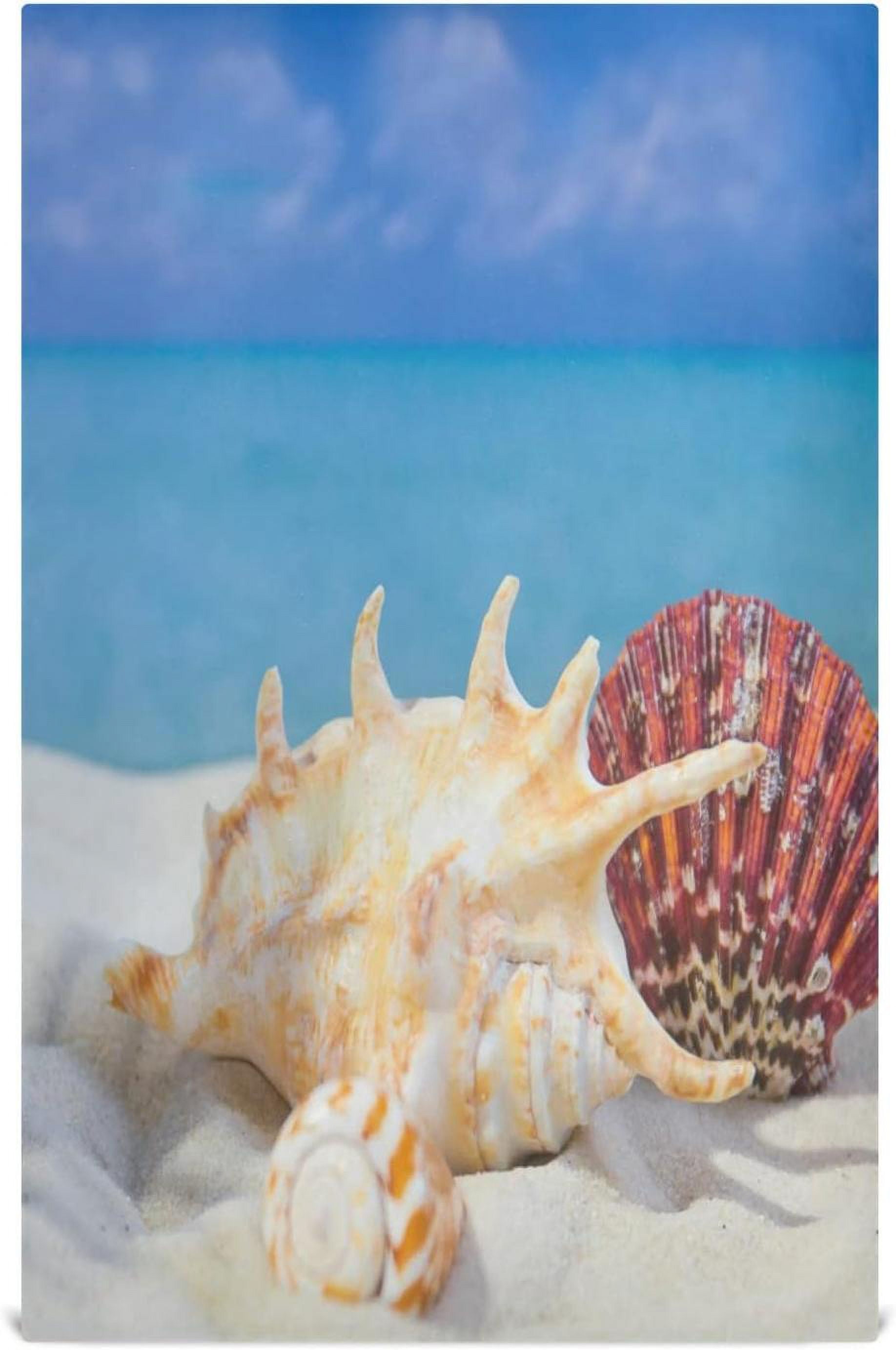 Sea Sand Shells Tea Towels Set of 1 Beach Tropical Kitchen Dish Cloth ...