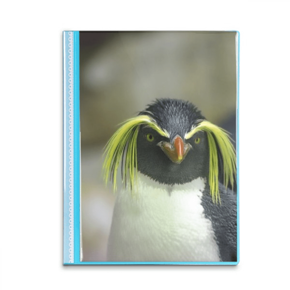Sea Science Nature Antarctic Penguin Picture Book Sheet Protectors ...