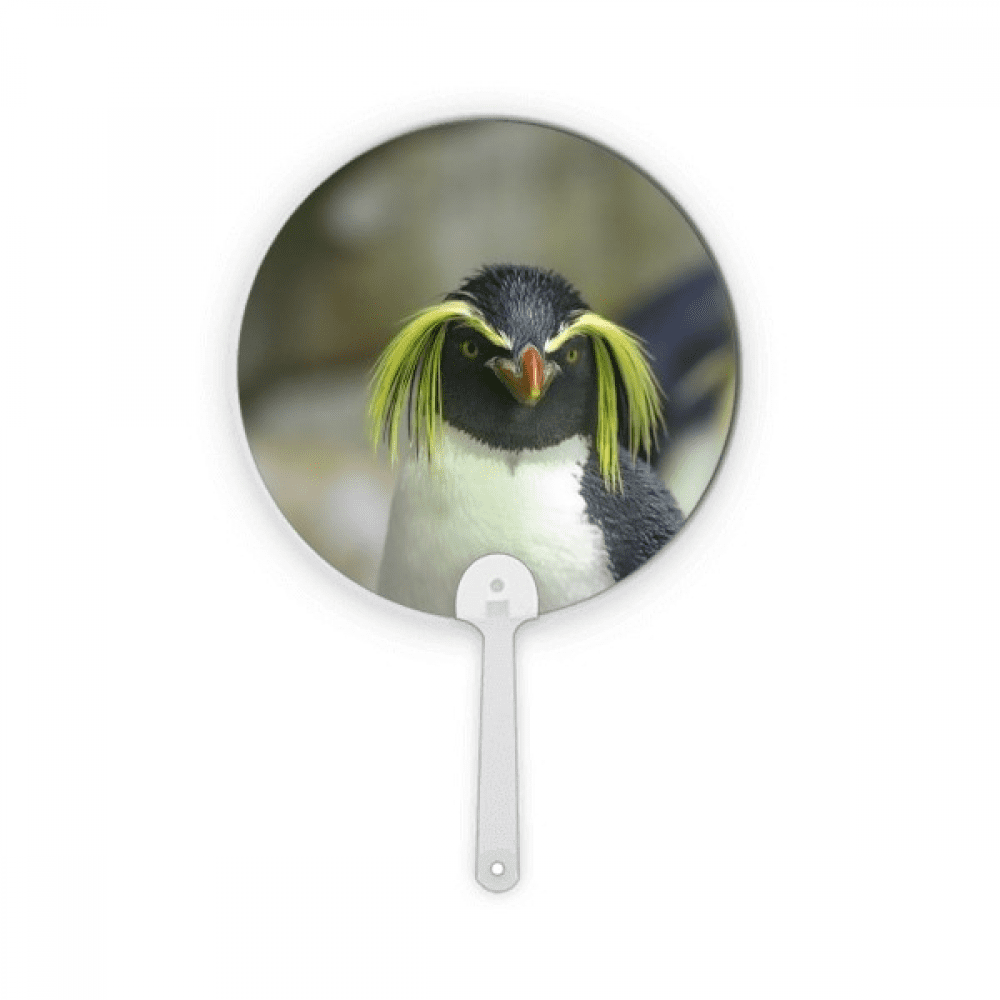 Sea Science Nature Antarctic Penguin Picture Plastic Round Handheld Fan ...