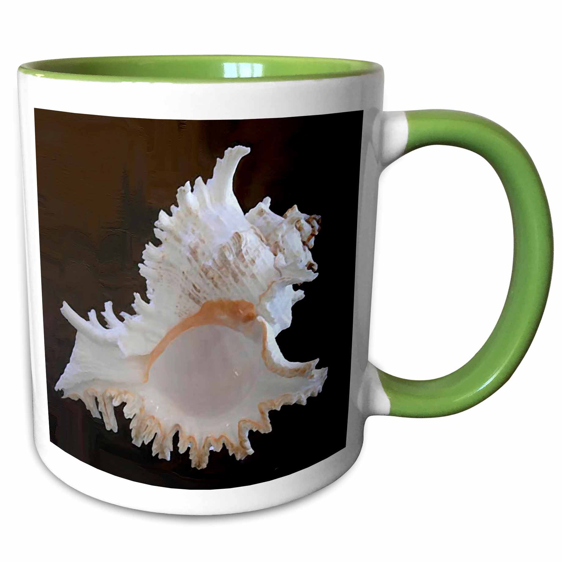 3drose, Sea Shell, 11oz Two-tone Green Mug - Walmart.com