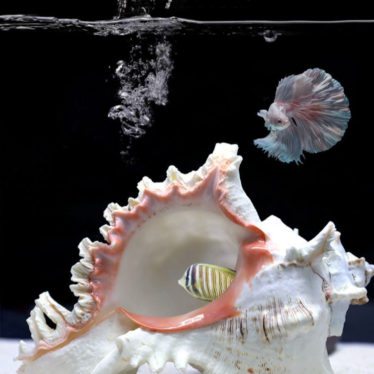 Sea Shell Aquarium Decor Breeding Shelter Set Fish Shrimp Hideout ...