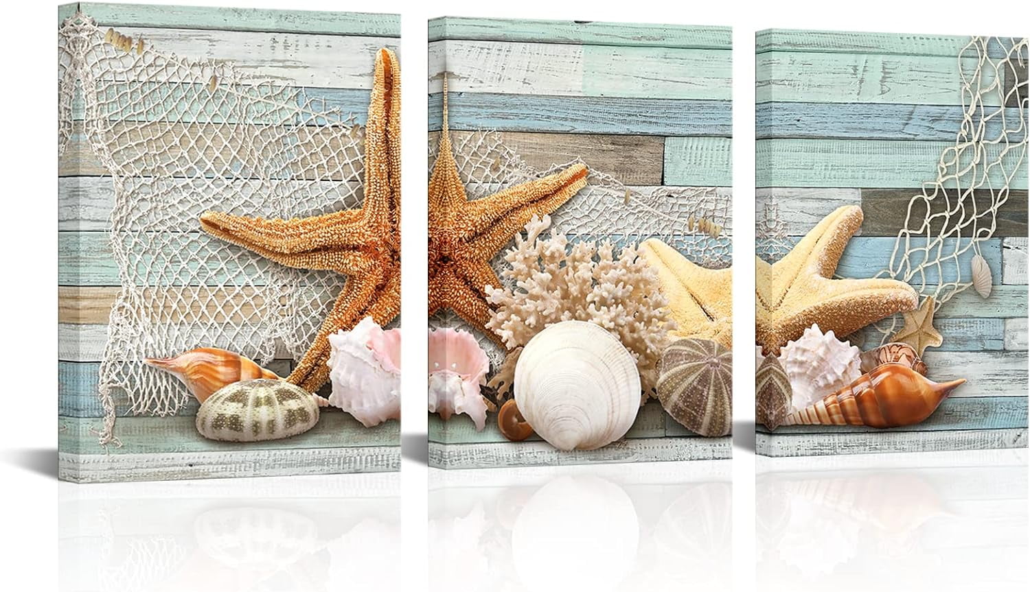 Sea Shell Canvas Wall Art Beach Themed Bathroom Decor Coral Pictures ...