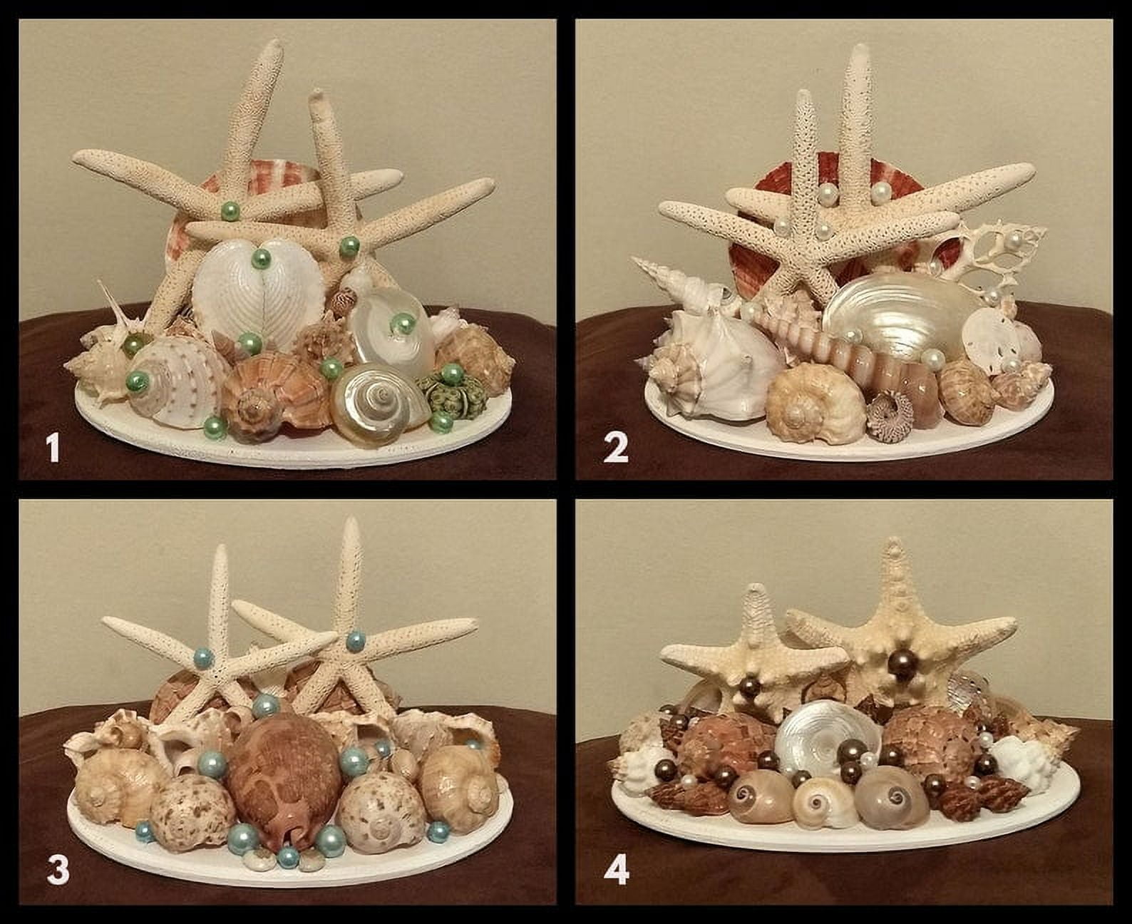 Sea Shell Centerpiece / Cake Topper - CHOICE OF, Beach/Coastal/Nautical ...