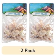 Coco Midrib Sea Shell Pack: Natural, 10 inches - Walmart.com