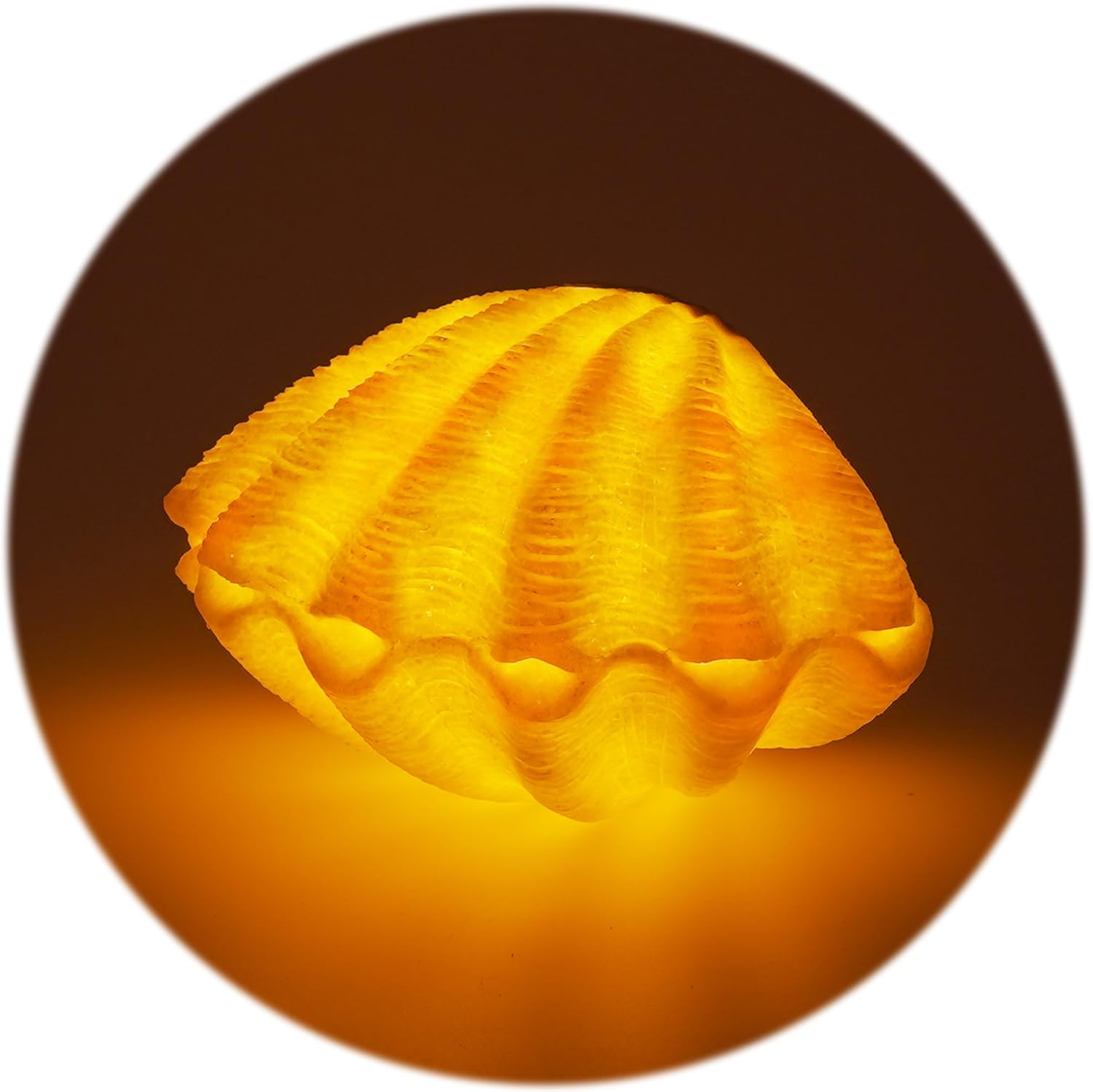 Sea Shell Night Light for Beach Ocean Decor, AAA Battery Operated LED ...