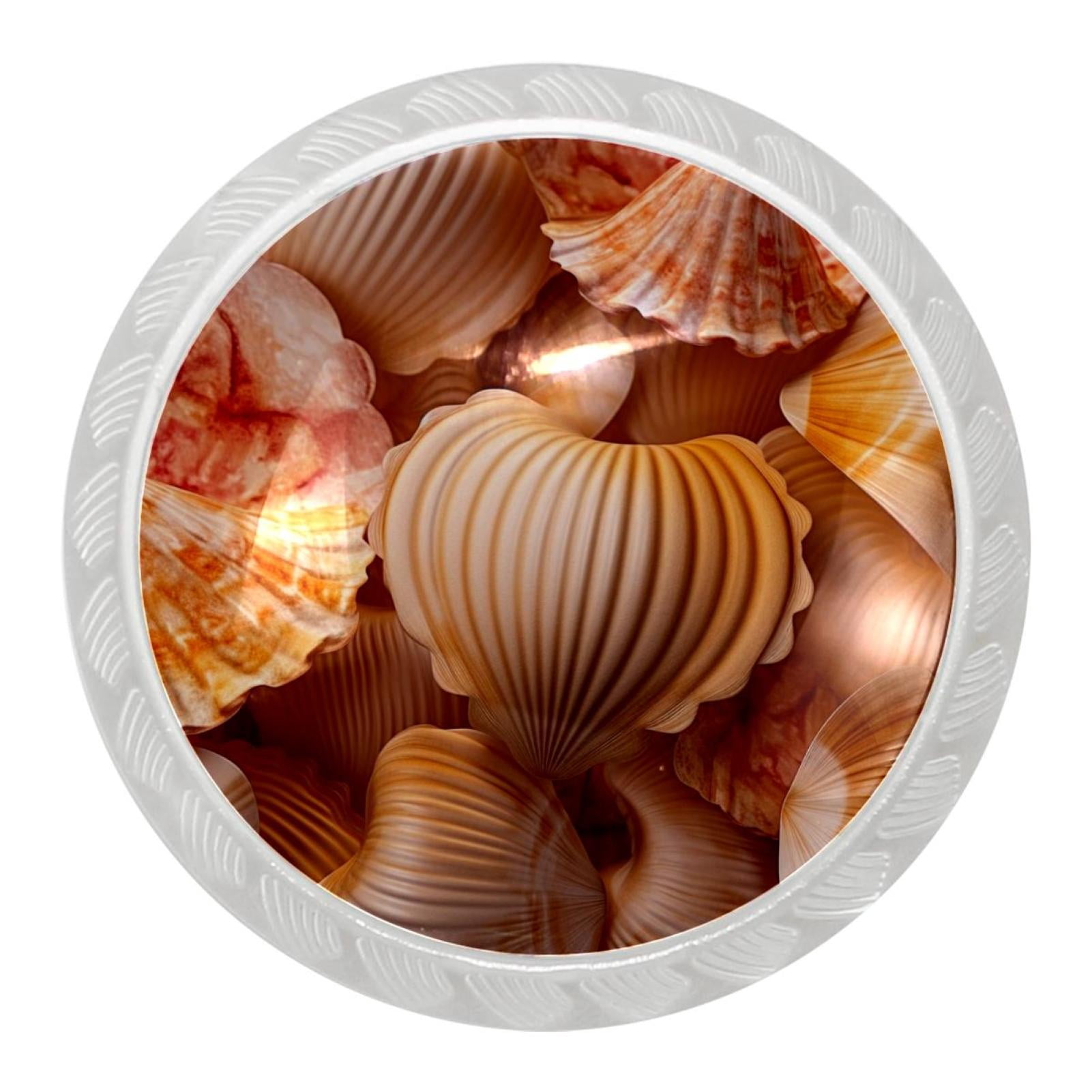 Sea Shell Pattern 4 PCS Cabinet Knob Drawer Knob Cabinet Hardware ...