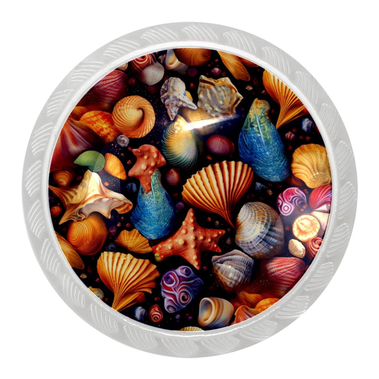 Sea Shell Pattern 4 PCS Cabinet Knob Drawer Knob Cabinet Hardware ...