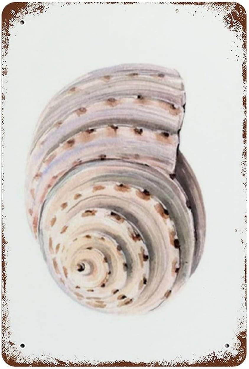 Sea Shells 5 Anique Metal Tin Sign for Men Women Decor Aluminum Sign ...