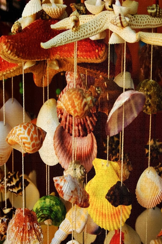 Sea Shells Jigsaw Puzzles 1000 Pieces Puzzles Jigsaw Puzzles Holiday ...