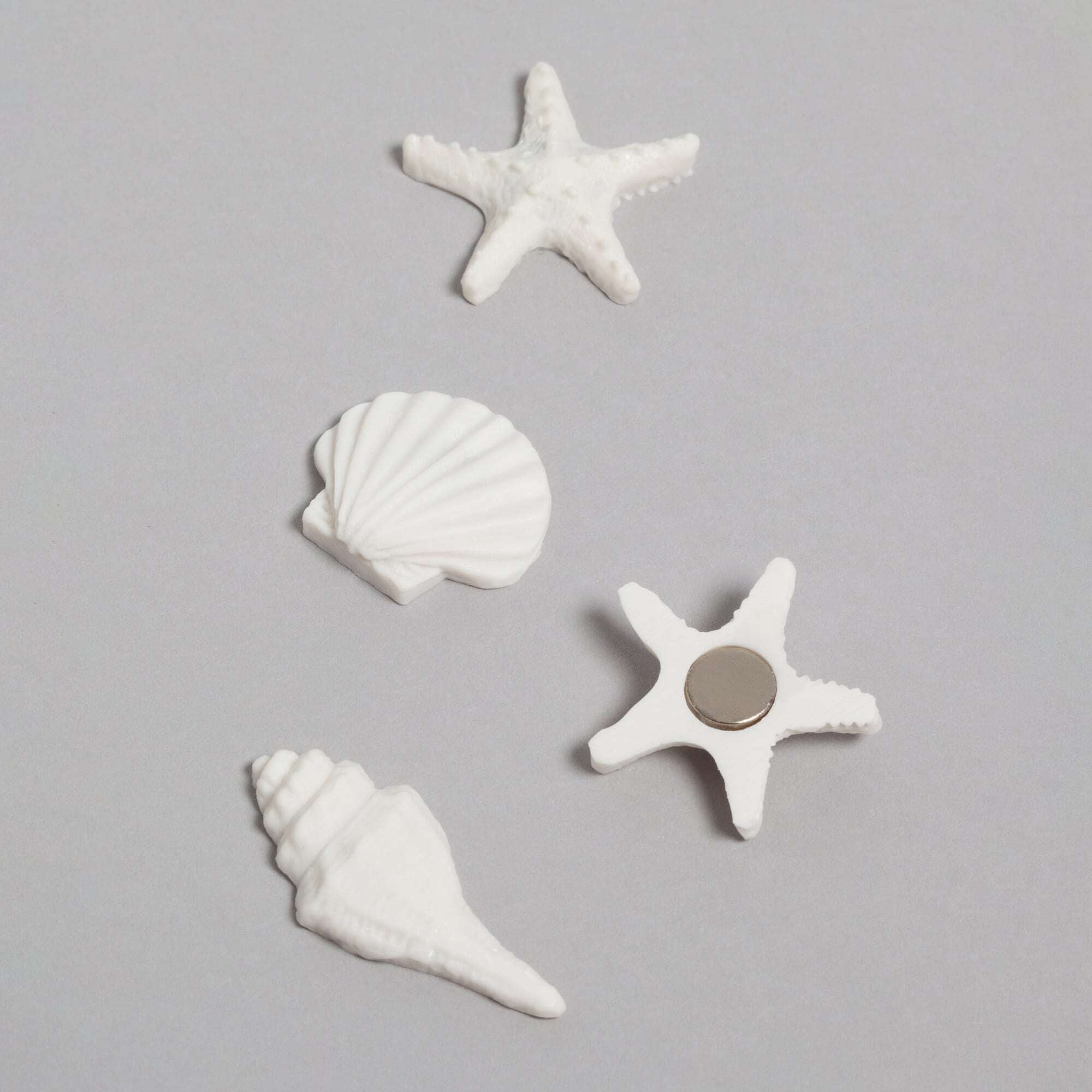 Sea Shells Magnets, 4 CT - Walmart.com