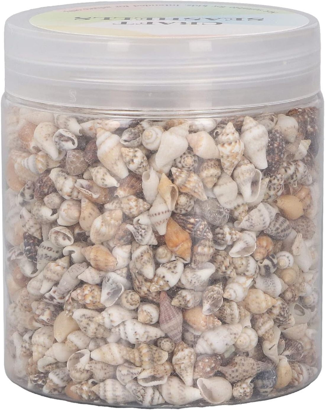 Sea Shells, Mixed Sea Shells Colorful Sea Shells Beach Sea Shells Sea ...