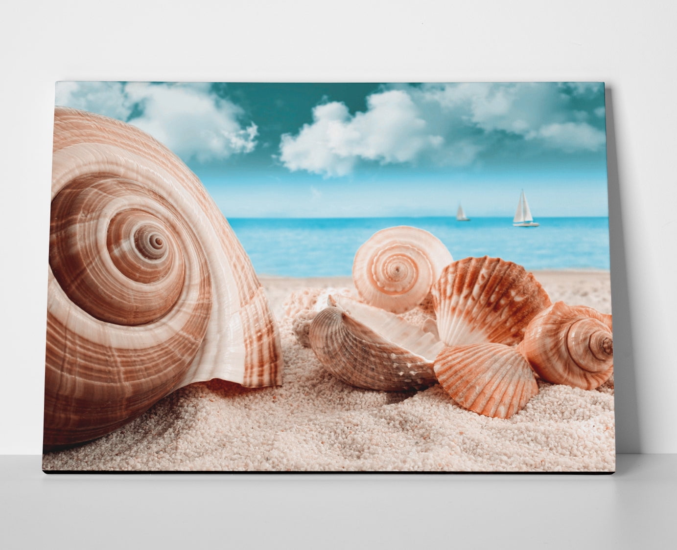 Sea Shells Poster or Wrapped Canvas - Walmart.com