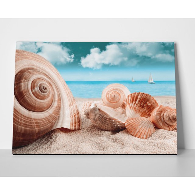 Sea Shells Poster or Wrapped Canvas - Walmart Business Supplies