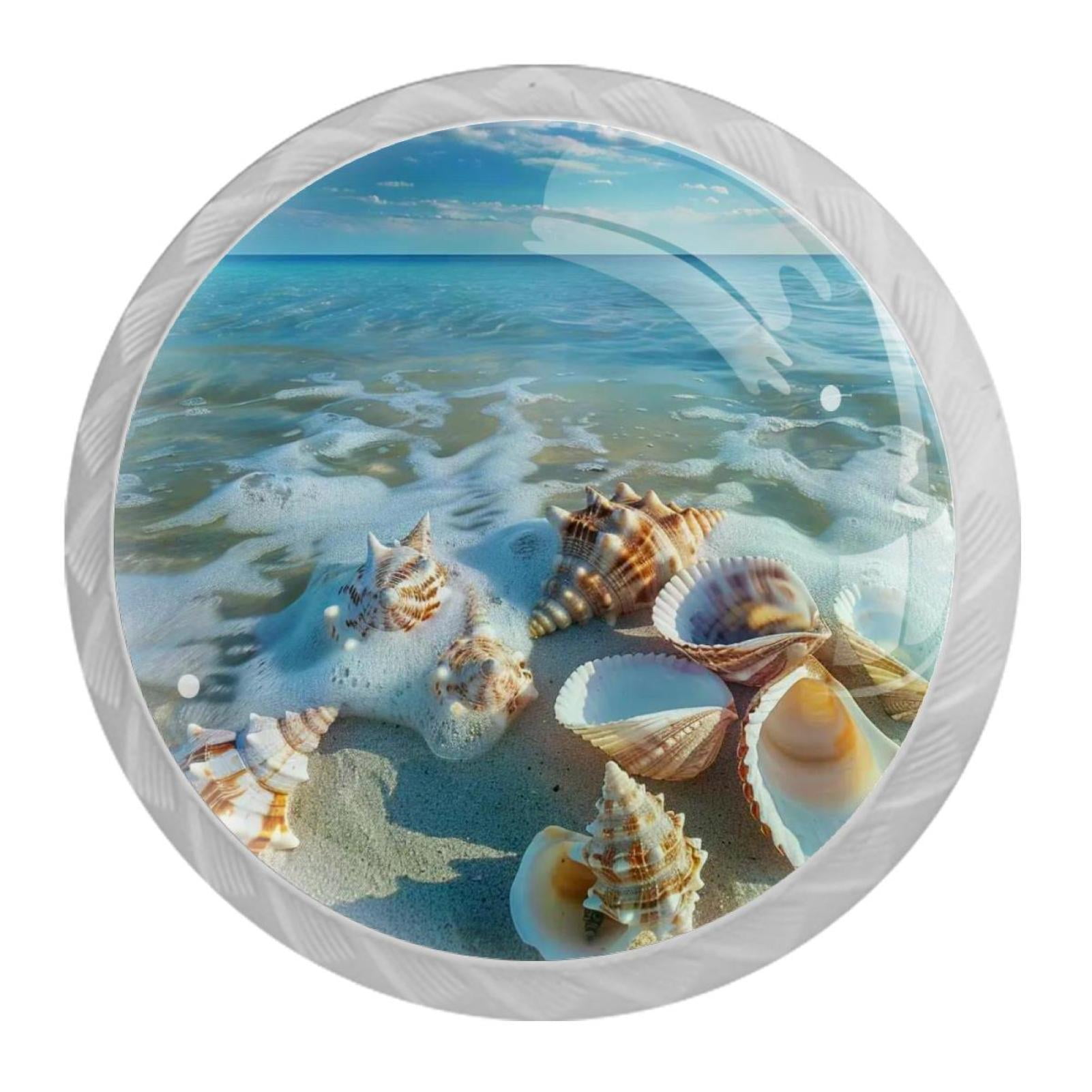 Sea Shells Sky Pretty Cabinet Knobs, Stainless Steel Kitchen Knobs ...