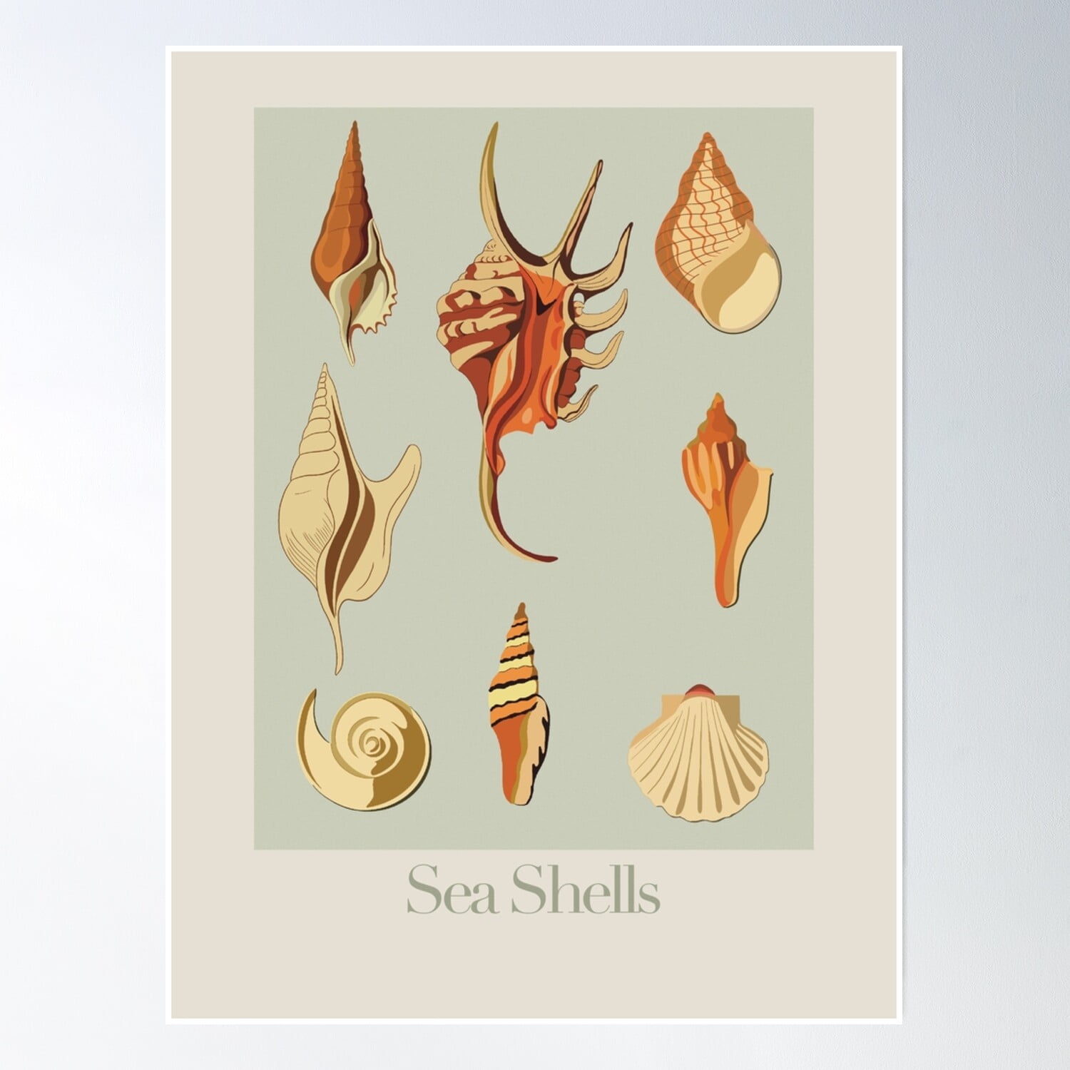 Sea Shells Wall Art Print Poster Wall Art, Modern Wall Decor, 8x12 ...