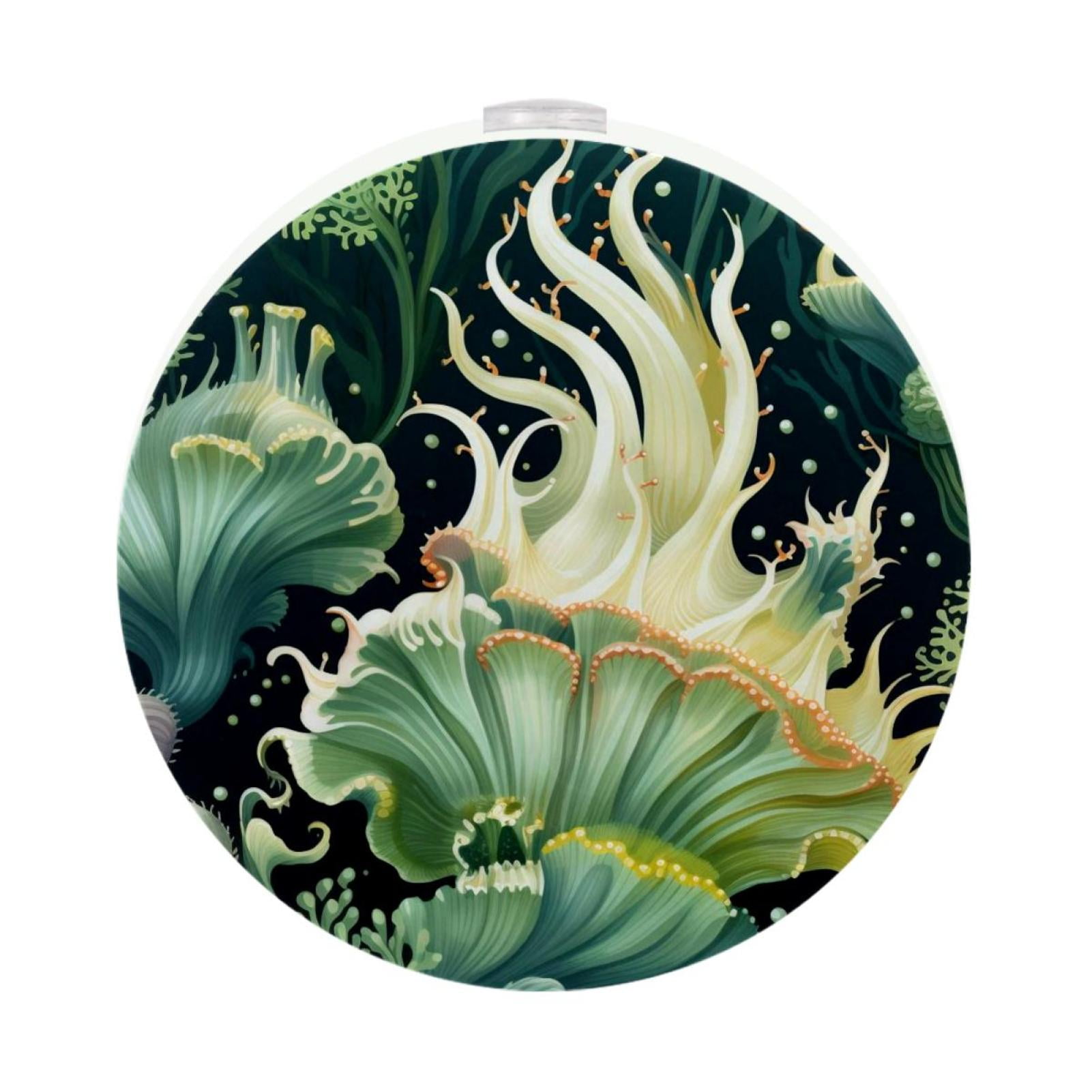 Sea Slug Bright and Compact LED Round Night Light - Set of 2, Energy ...