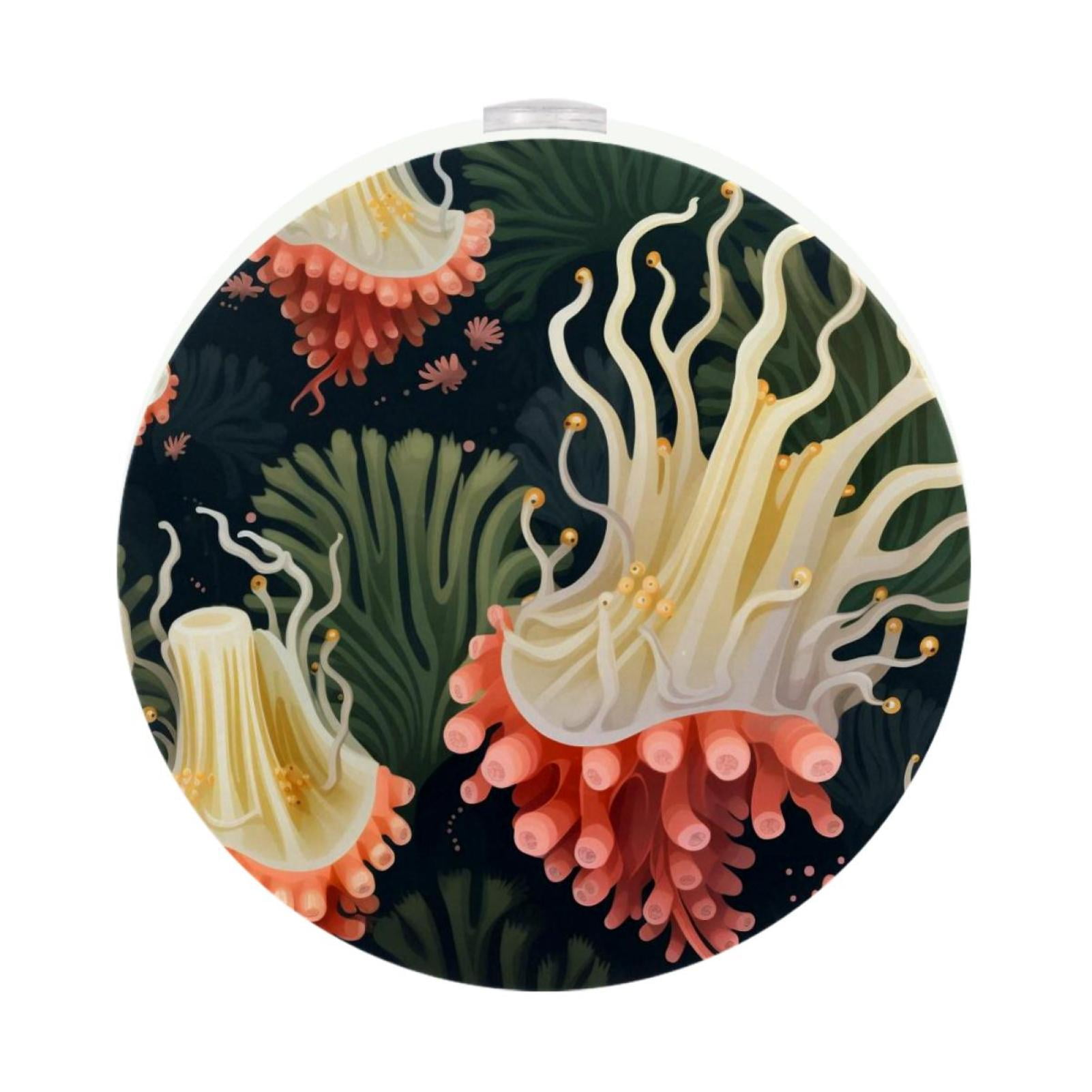 Sea Slug LED Round Night Light-2PCS | Energy-Efficient Plug-in ...