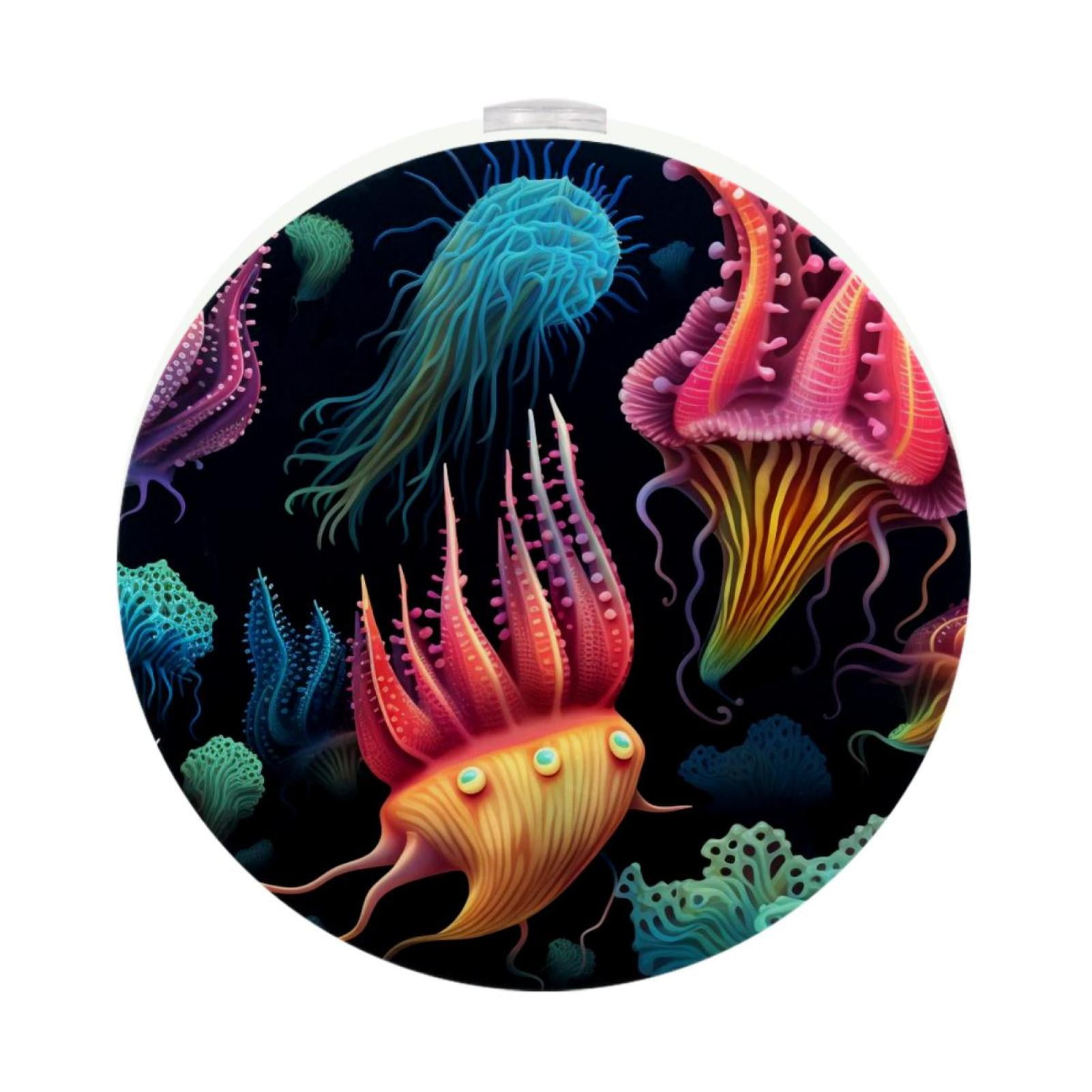 Sea Slug Led Round Night Light-2pcs Set, Battery Powered Mini Portable ...