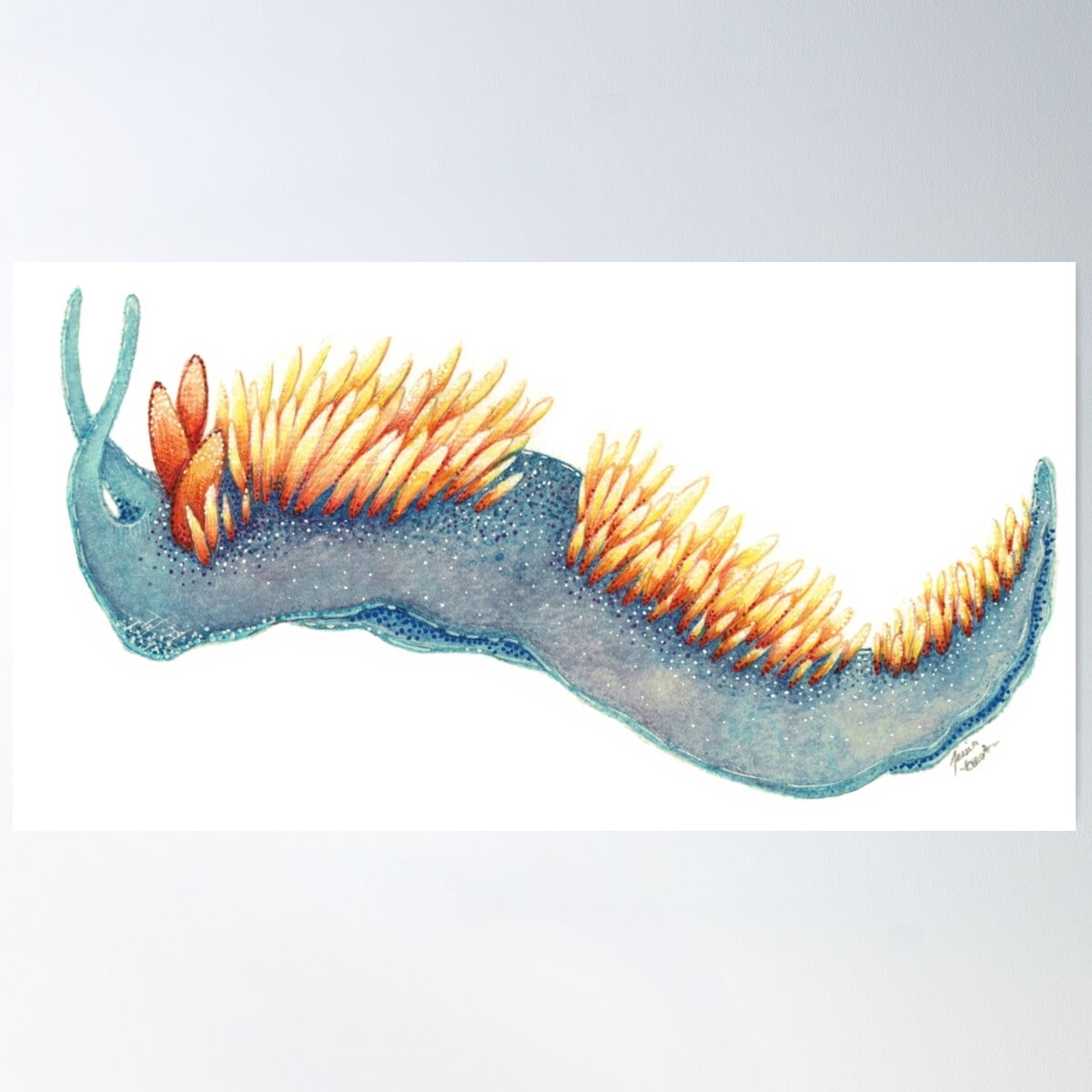 Sea Slug Poster Wall Art, Modern Wall Decor For Living Room Bedroom ...