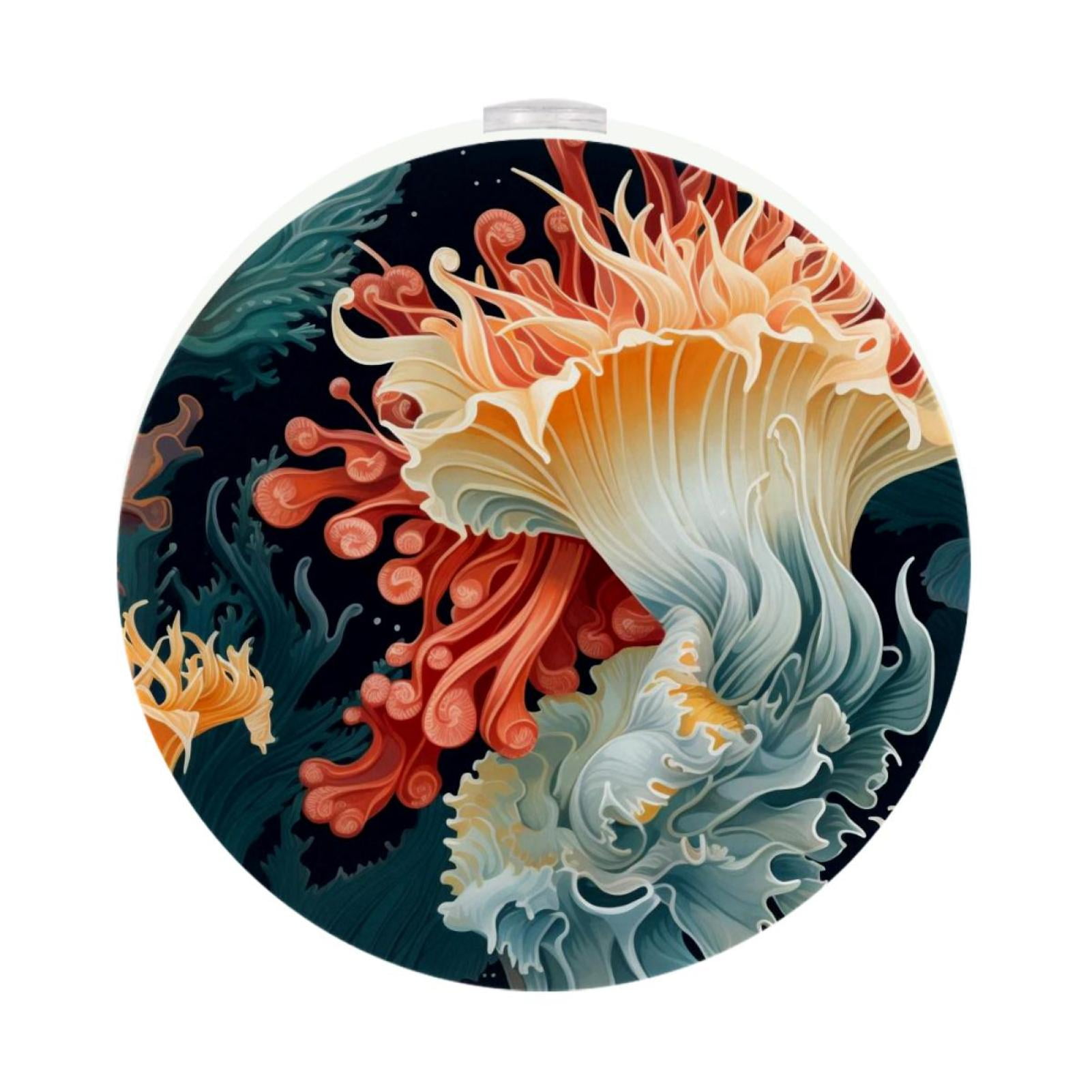 Sea Slug Set of 2 LED Round Night Lights for Brightening up your Space ...