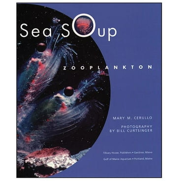 Solving the Puzzle Under the Sea : Marie Tharp Maps the Ocean Floor ...