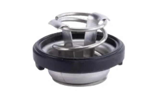 Sea Star Solutions Valve_Water Pressure (118-3685) - Walmart.com