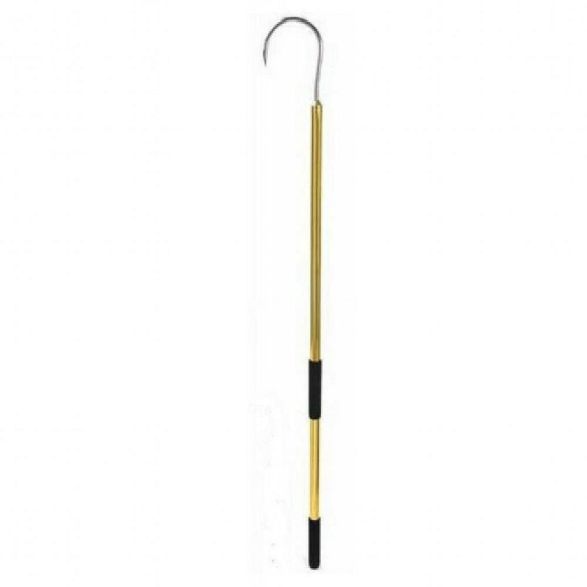 Sea Striker Gaff 8' Long 3" SS HOOK - Gold - Walmart.com